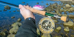 Top 5 Fly Fishing Reels: Reviews And FAQs - Outdoorsity