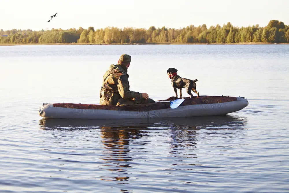 5 Best Duck & Waterfowl Hunting Dogs 2025 - Outdoorsity