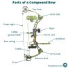 Parts of a Compound Bow - Anatomy & Lingo Explained in 2025 - Outdoorsity