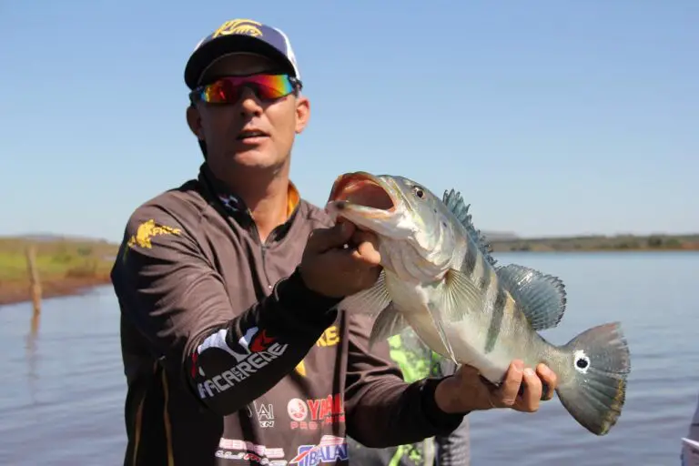 10-Pound Bass: How To Catch It In 2026? - Outdoorsity
