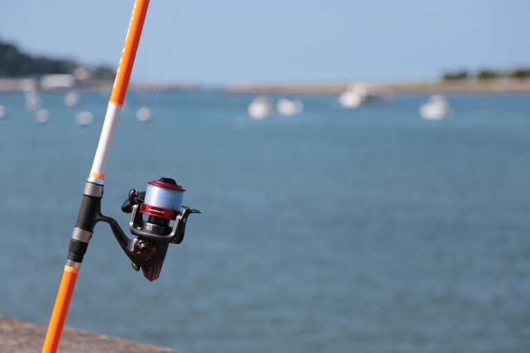 Fishing Rod Types: Learn All About Them 2025 - Outdoorsity