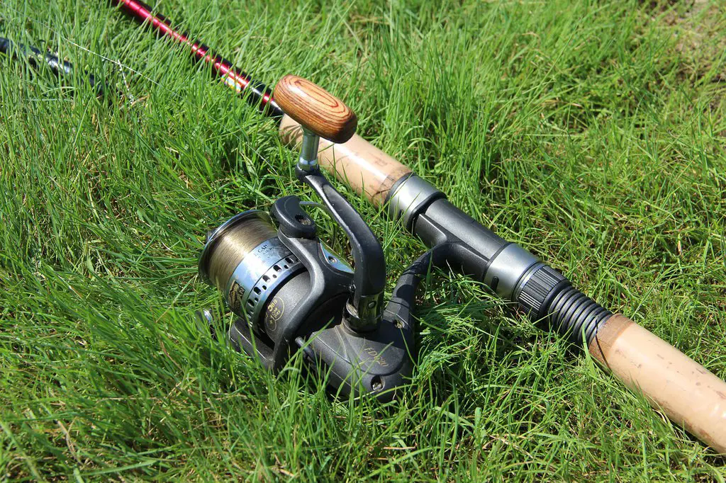 Fishing Rod Types: Learn All About Them 2025 - Outdoorsity