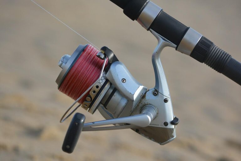 Fishing Rod Types: Learn All About Them 2025 - Outdoorsity
