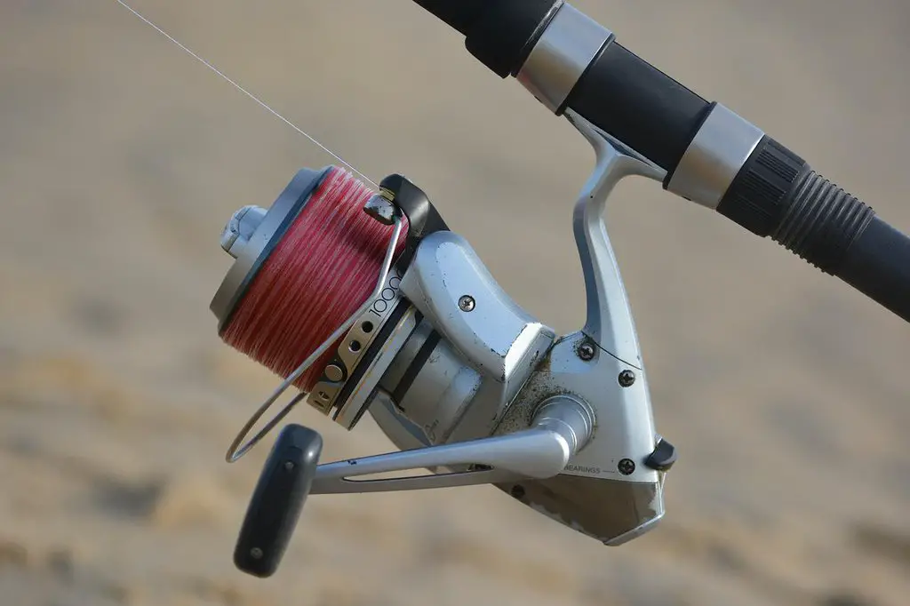 Fishing Rod Types: Learn All About Them 2025 - Outdoorsity