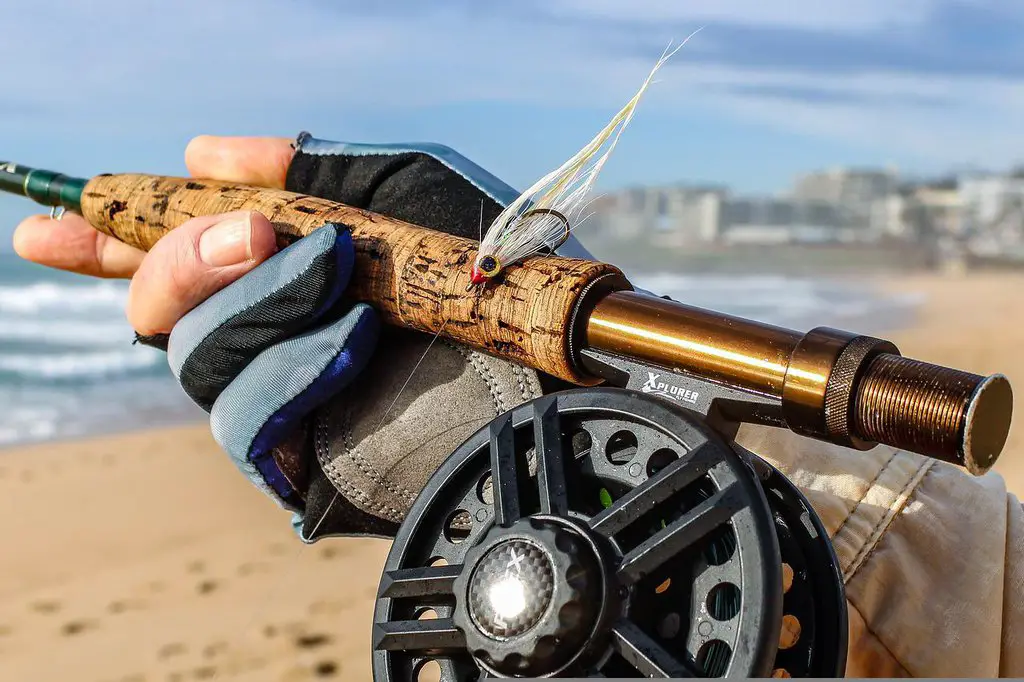 Fishing Rod Types: Learn All About Them 2025 - Outdoorsity