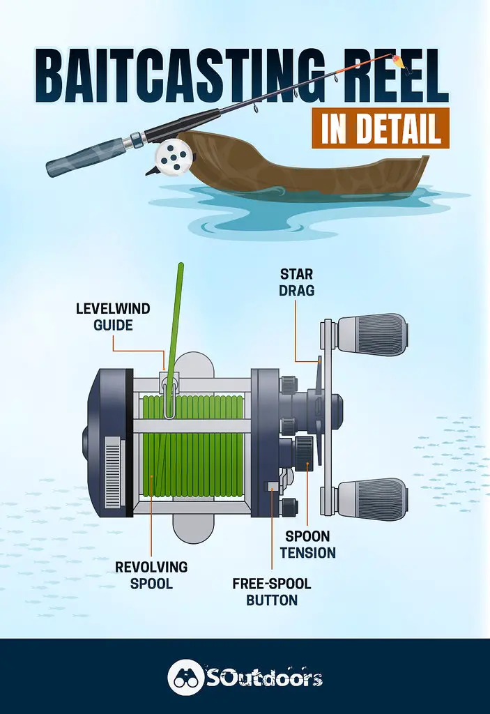 Choosing Spinning Reels or Baitcasting Reels: The Debate 2025 - Outdoorsity