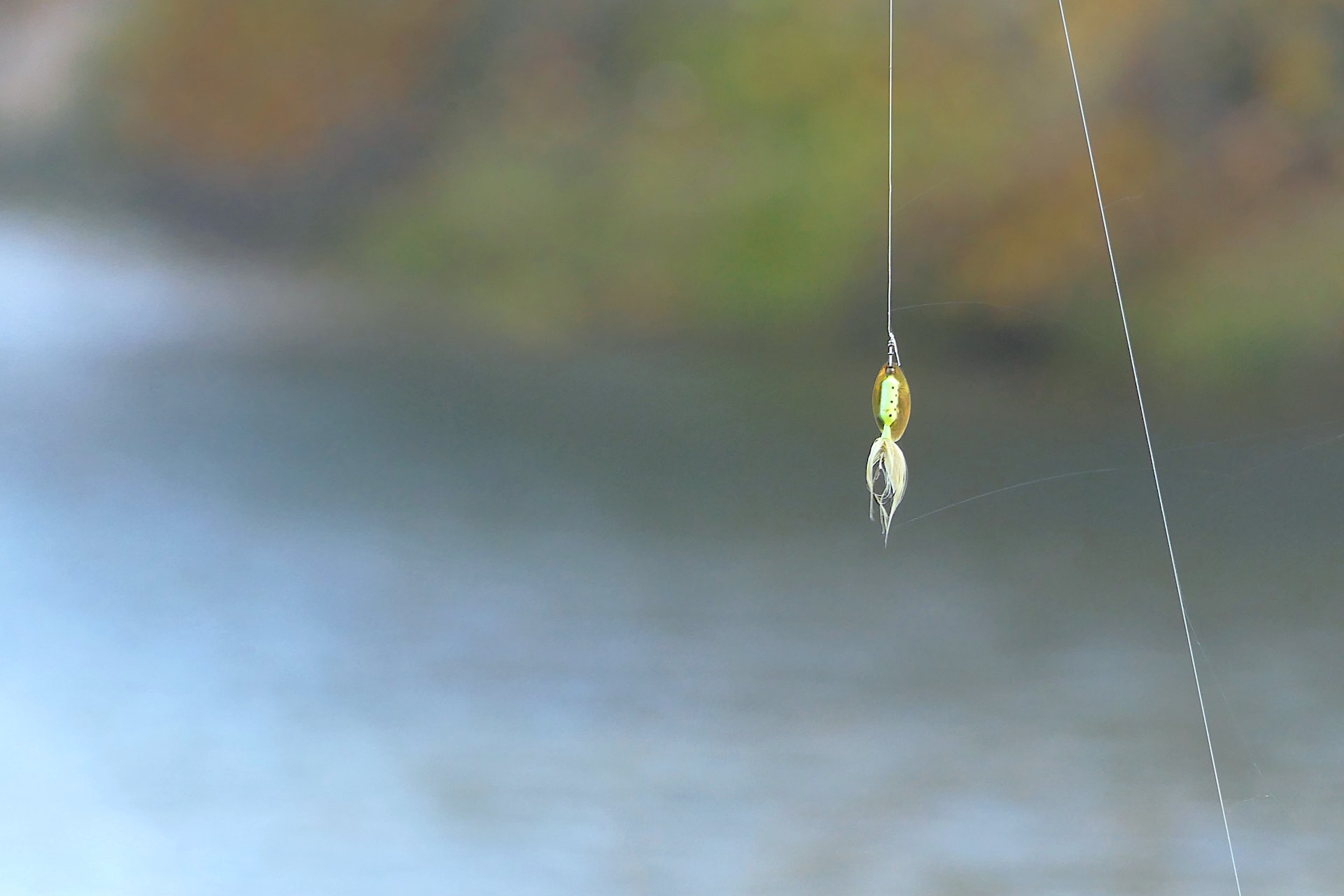 Beginner Basic Fishing Line Setup Guide 2026 - Outdoorsity