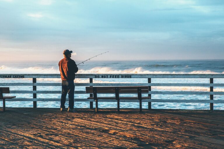 Pier Fishing: How To Do It In 2026 - Outdoorsity