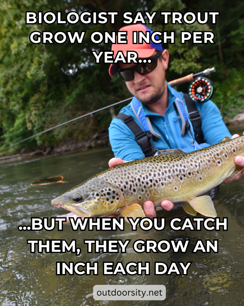 20 Funny Fishing Pictures For 2026 - Outdoorsity